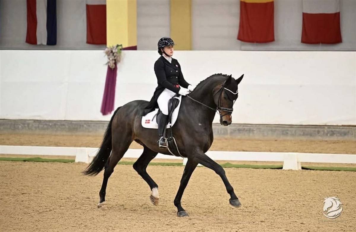 Maria N. Kristensen: Vi er godt på vej mod Grand Prix - Ridehesten.com