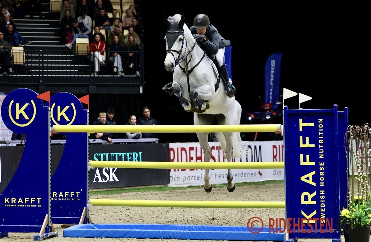 Internationale starter - uge 3 - Ridehesten.com