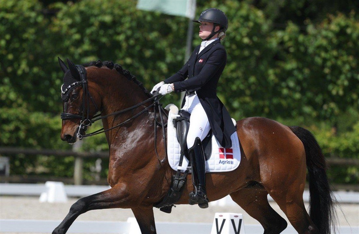 Gode danske resultater i Hagen - Ridehesten.com