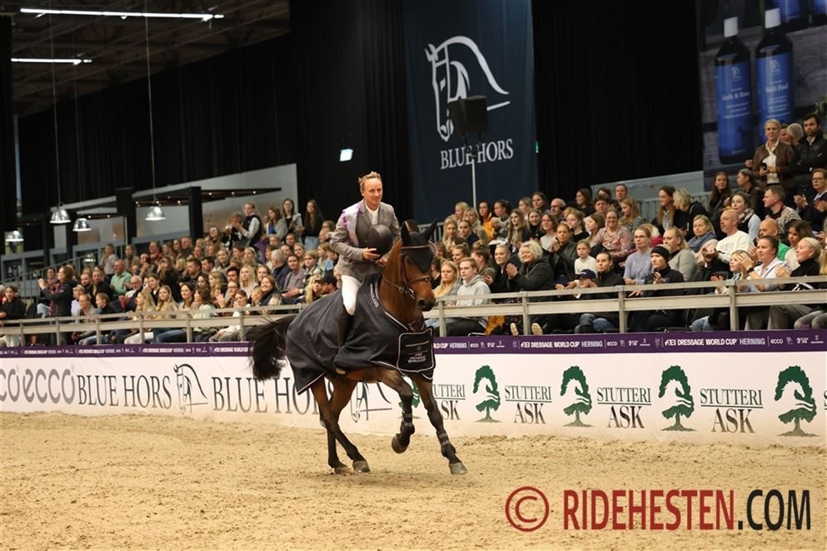 Andreas Schou sejrede på hjemmebane - Ridehesten.com Andreas Schou sejrede på hjemmebane - Ridehesten.com