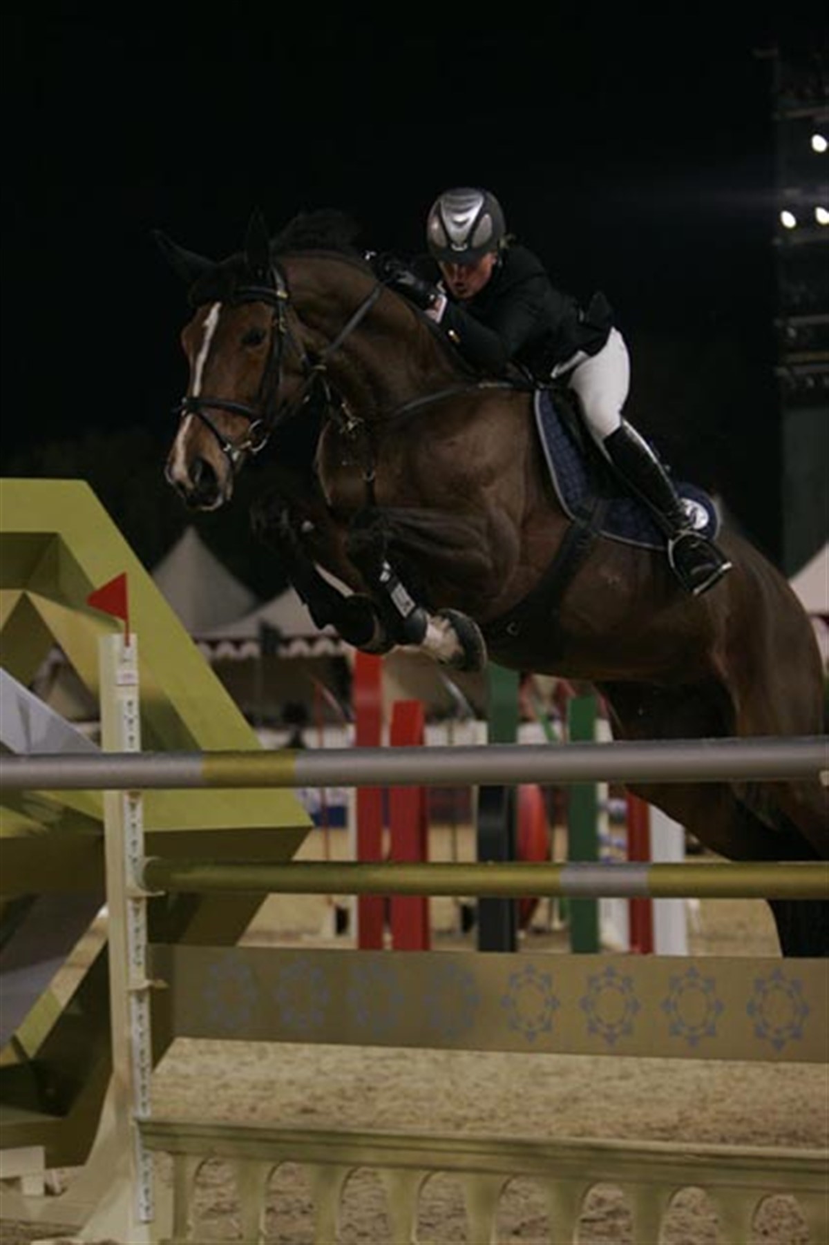 Quibell i top - Ridehesten.com