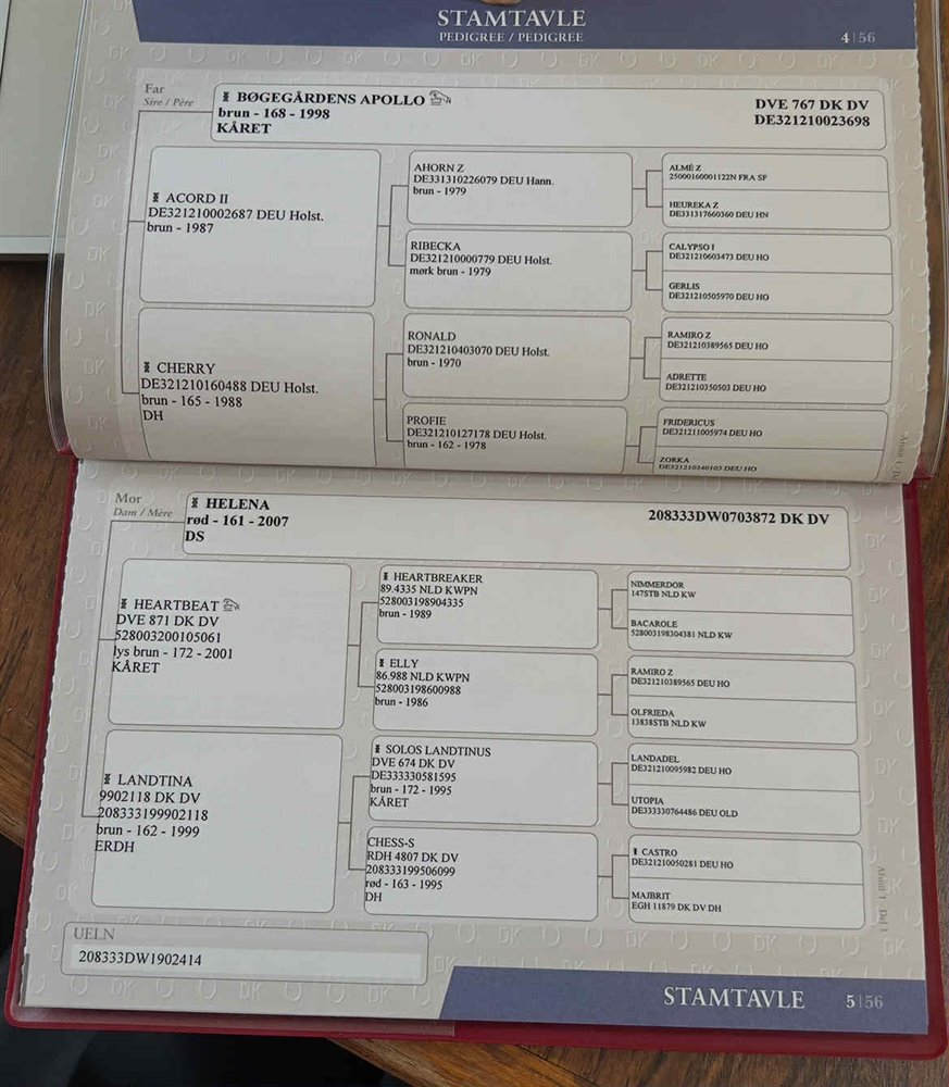 ARIANE 4 - Ridehesten.com