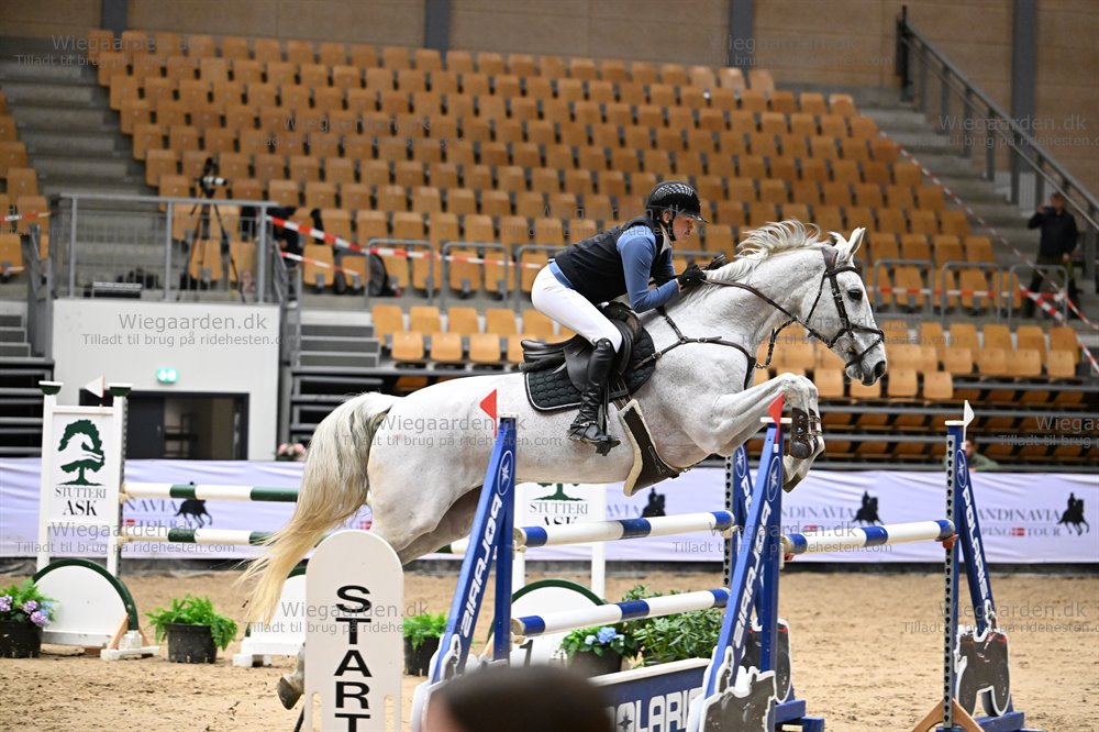 EMILIA IMHOFF - Ridehesten.com