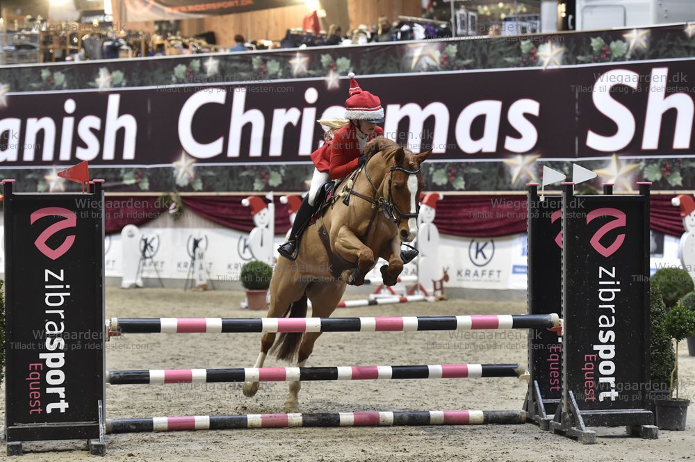 LADY-LI - Ridehesten.com