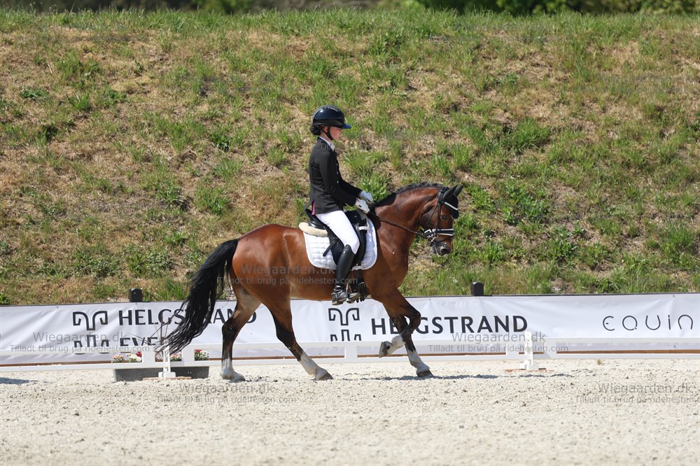 GRIBSVADS JAMES JO - Ridehesten.com