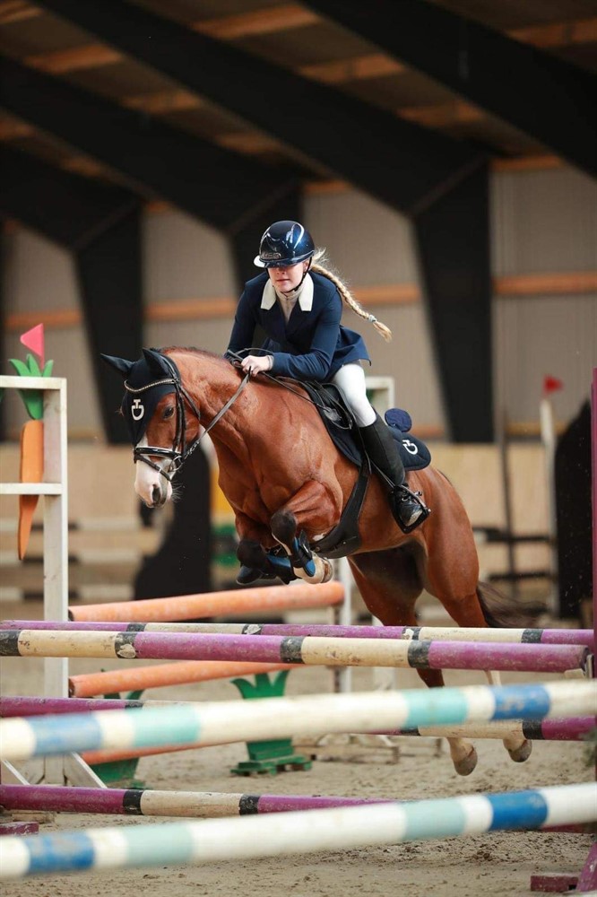 FÆRGELUNDENS AÍDA - Ridehesten.com