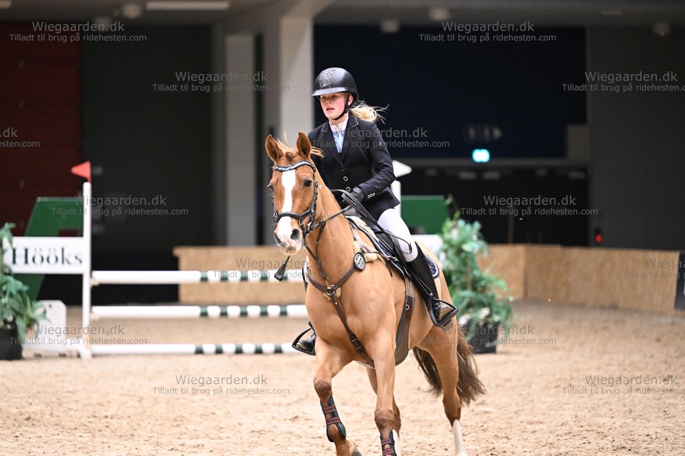 LADY-LI - Ridehesten.com