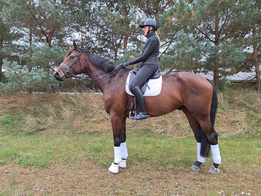 FLO RIDA LS - Ridehesten.com