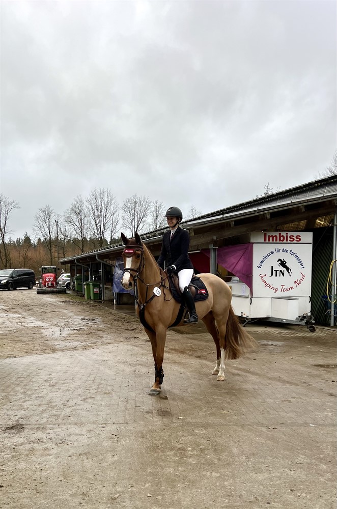 NIKI IV - Ridehesten.com